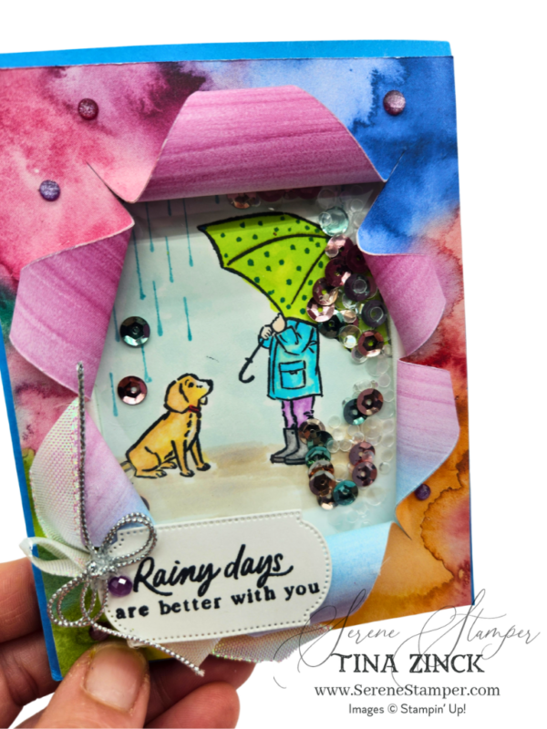 Busted Canvas Window Shaker Card | Step-by-Step Tutorial - Tina Zinck ...