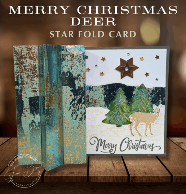 How to Make a Star Fun Fold Card (Easy Wow-Factor Design!) - Tina Zinck ...