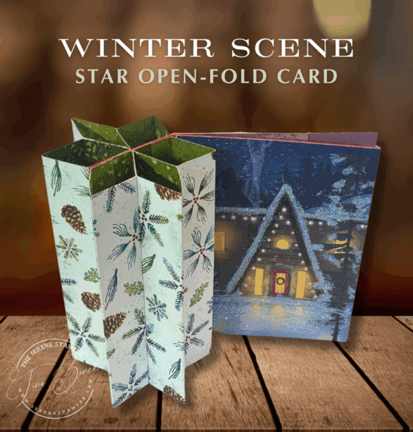 How to Make a Star Fun Fold Card (Easy Wow-Factor Design!) - Tina Zinck ...