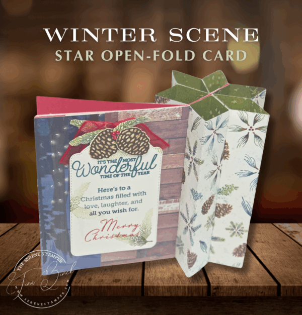 How to Make a Star Fun Fold Card (Easy Wow-Factor Design!) - Tina Zinck ...
