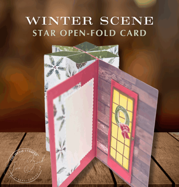 How to Make a Star Fun Fold Card (Easy Wow-Factor Design!) - Tina Zinck ...