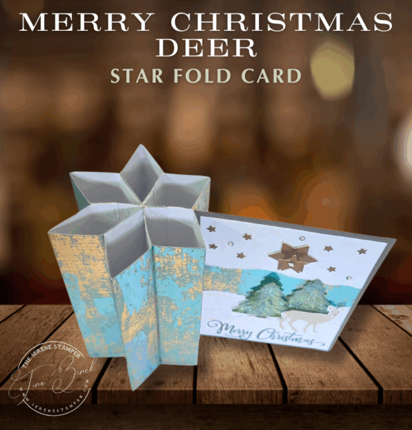 How to Make a Star Fun Fold Card (Easy Wow-Factor Design!) - Tina Zinck ...