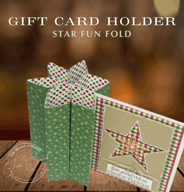How to Make a Star Fun Fold Card (Easy Wow-Factor Design!) - Tina Zinck ...