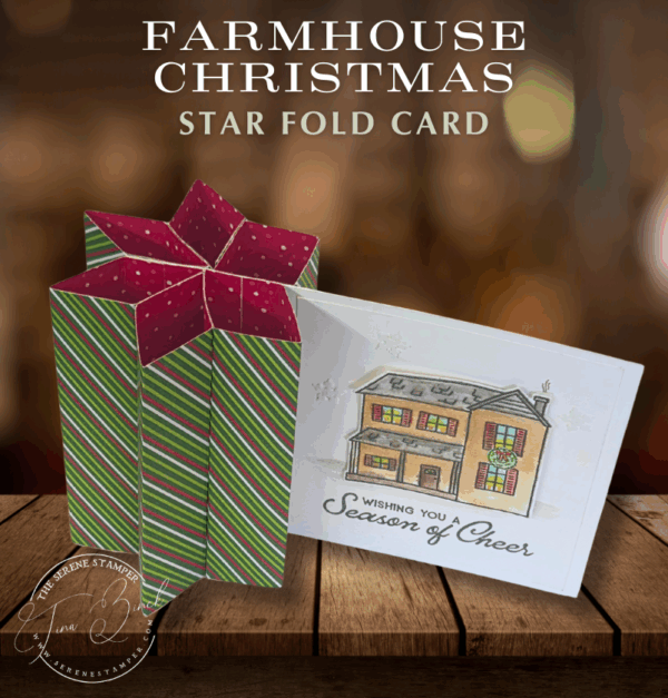 How to Make a Star Fun Fold Card (Easy Wow-Factor Design!) - Tina Zinck ...
