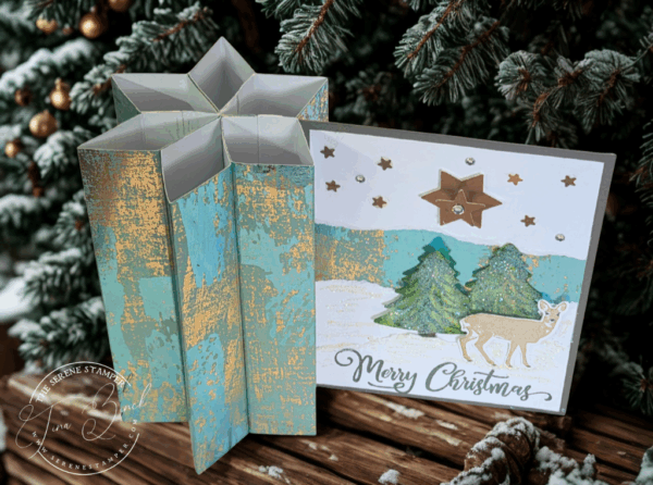 How to Make a Star Fun Fold Card (Easy Wow-Factor Design!) - Tina Zinck ...